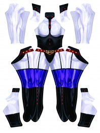 Women Superhero Costume
